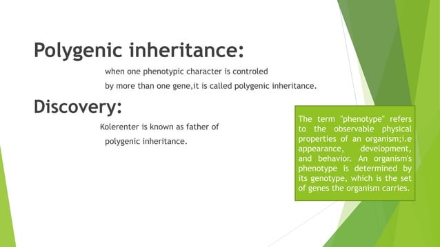 polygenic inheritance.pptx | Genetics | Science
