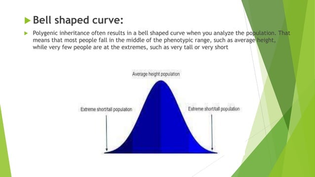polygenic inheritance.pptx | Genetics | Science