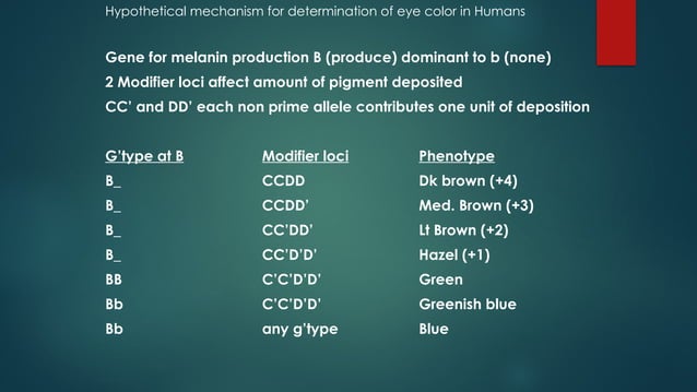 Polygenic Inheritance Genetics Mendelian Pptx