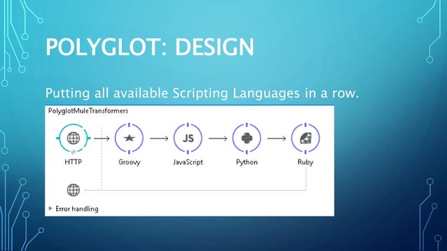 Polyglot Mule Transformers | PPT