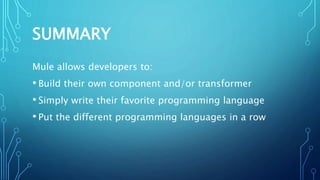 Polyglot Mule Transformers | PPT