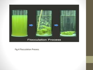 PolyGlu: The Water Purifier | PPTX