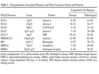 Polyglutaminedisorders | PPT