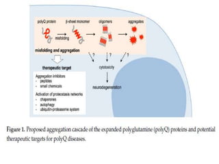 Polyglutaminedisorders | PPT