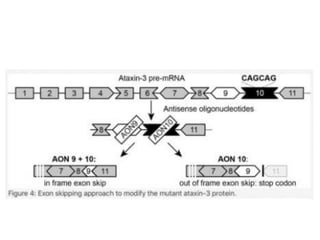 Polyglutaminedisorders | PPT
