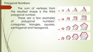 Polygonal and square numbers | PPT | Free Download
