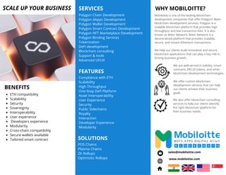 Matic/Polygon Blockchain Development | PPT