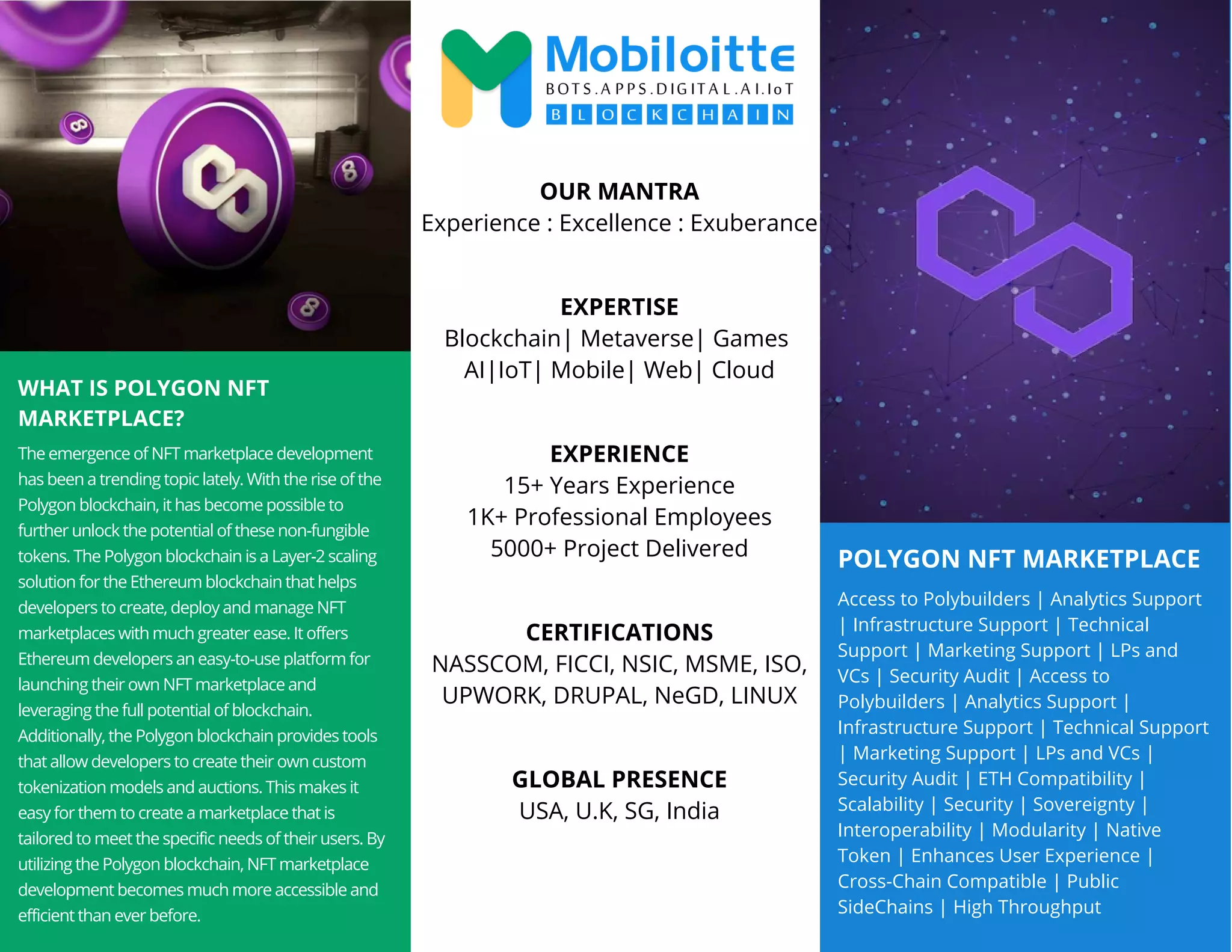 Polygon NFT Marketplace Development | PPT