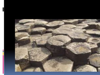 Polygons in nature | PPTX