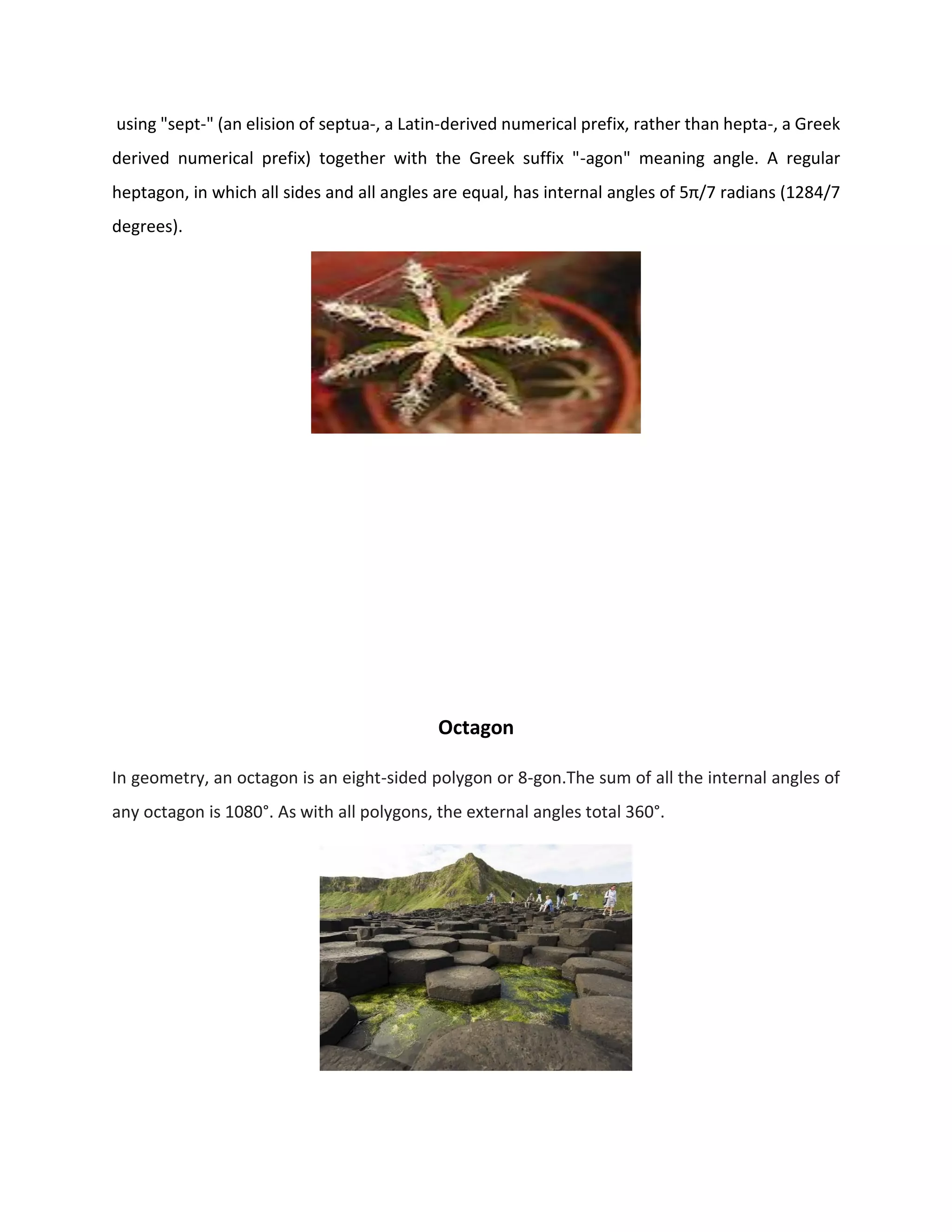Regular Polygons In Nature