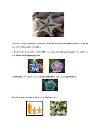 Polygons in nature | PDF