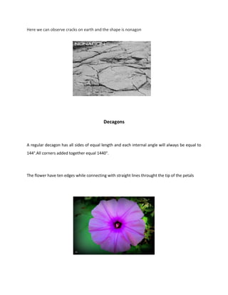 Decagon In Nature