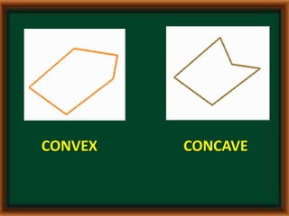 Concave Polygon In Nature