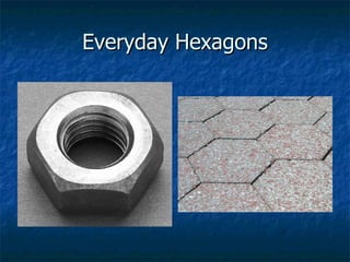 Regular Polygon In Real Life