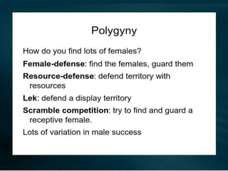 Polygyny | PPT