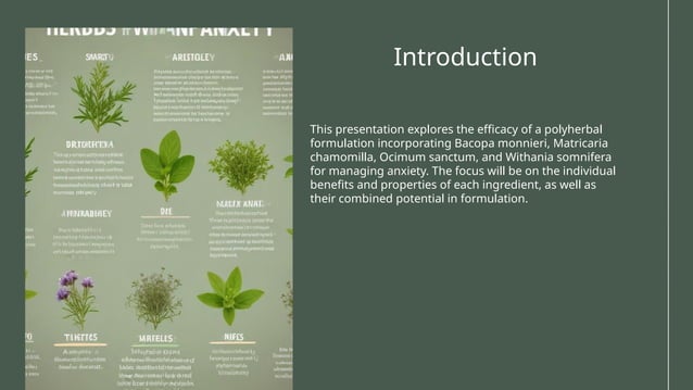 Poly---------herbal Formulation (2).pptx