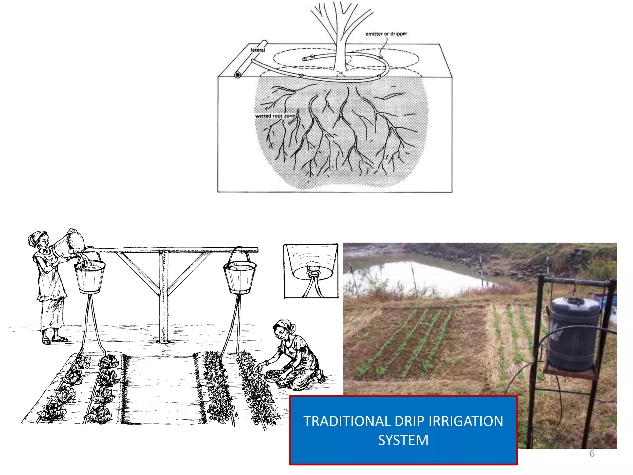 Efficient Irrigation and fertigation in Polyhouse | PPTX