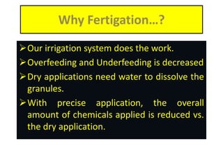 Efficient Irrigation and fertigation in Polyhouse | PPTX