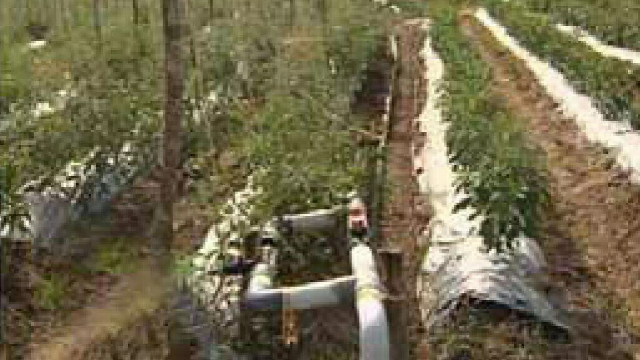 Poly house farming | PPTX