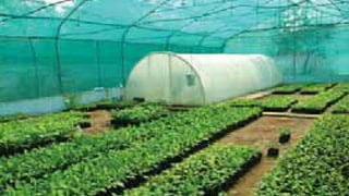 Poly house farming | PPTX