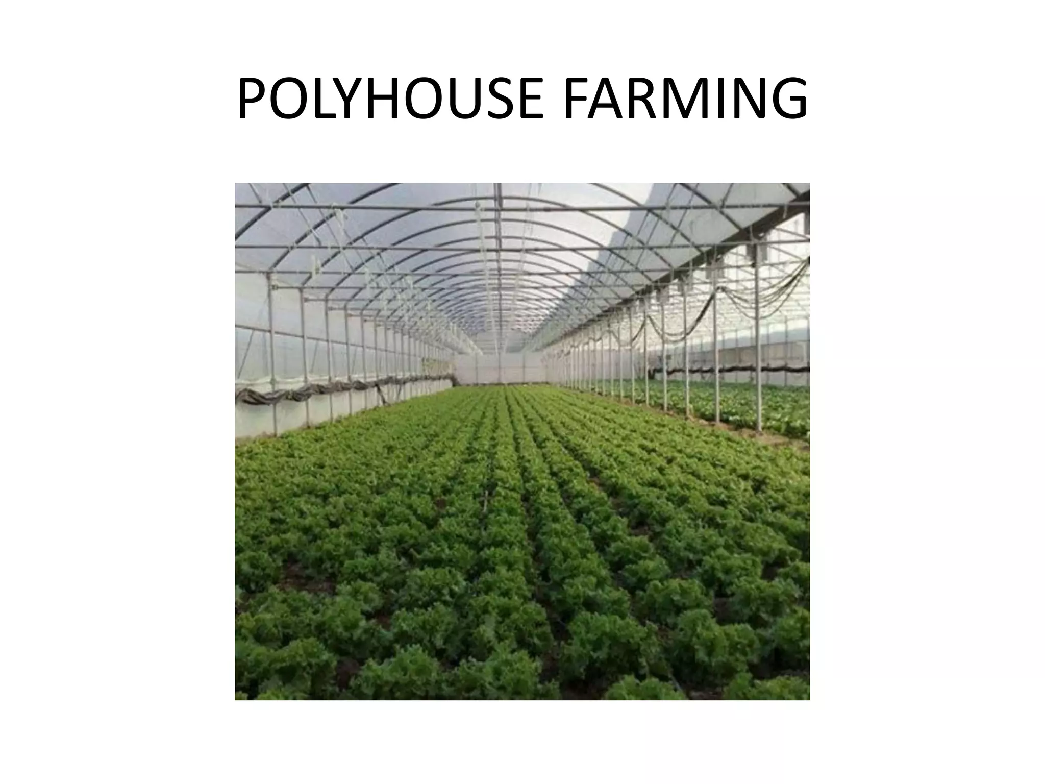 Polyhouse farming ,precition farming | PPT