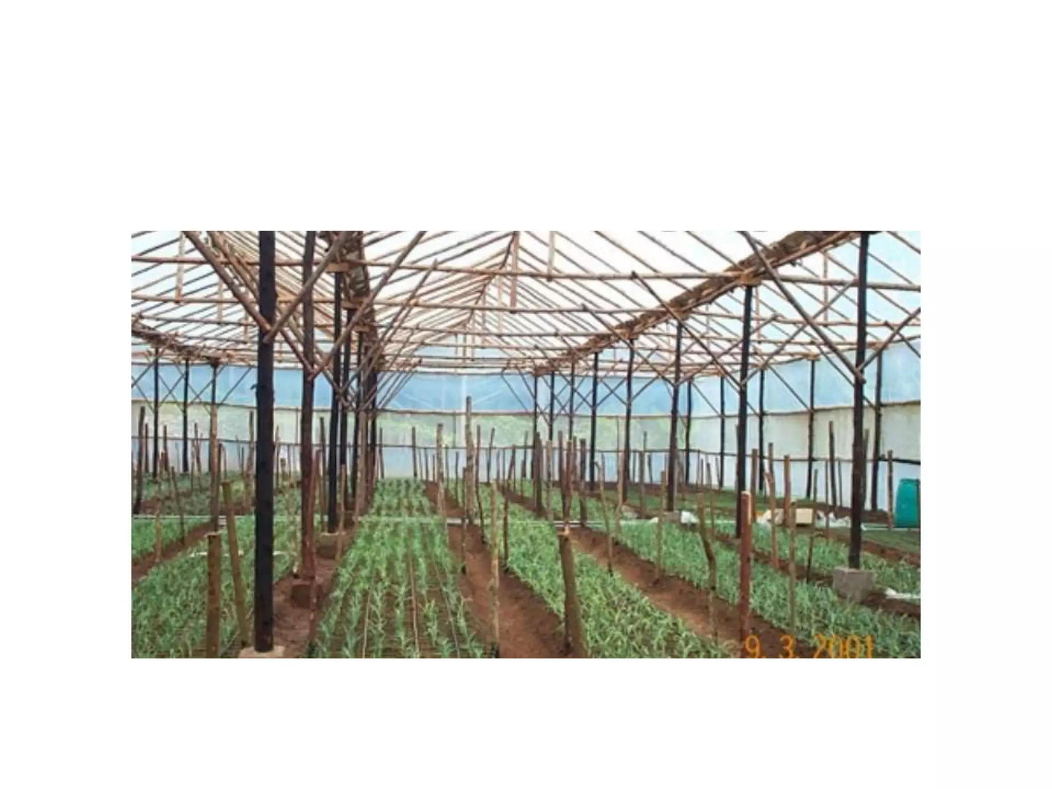Polyhouse farming ,precition farming | PPTX