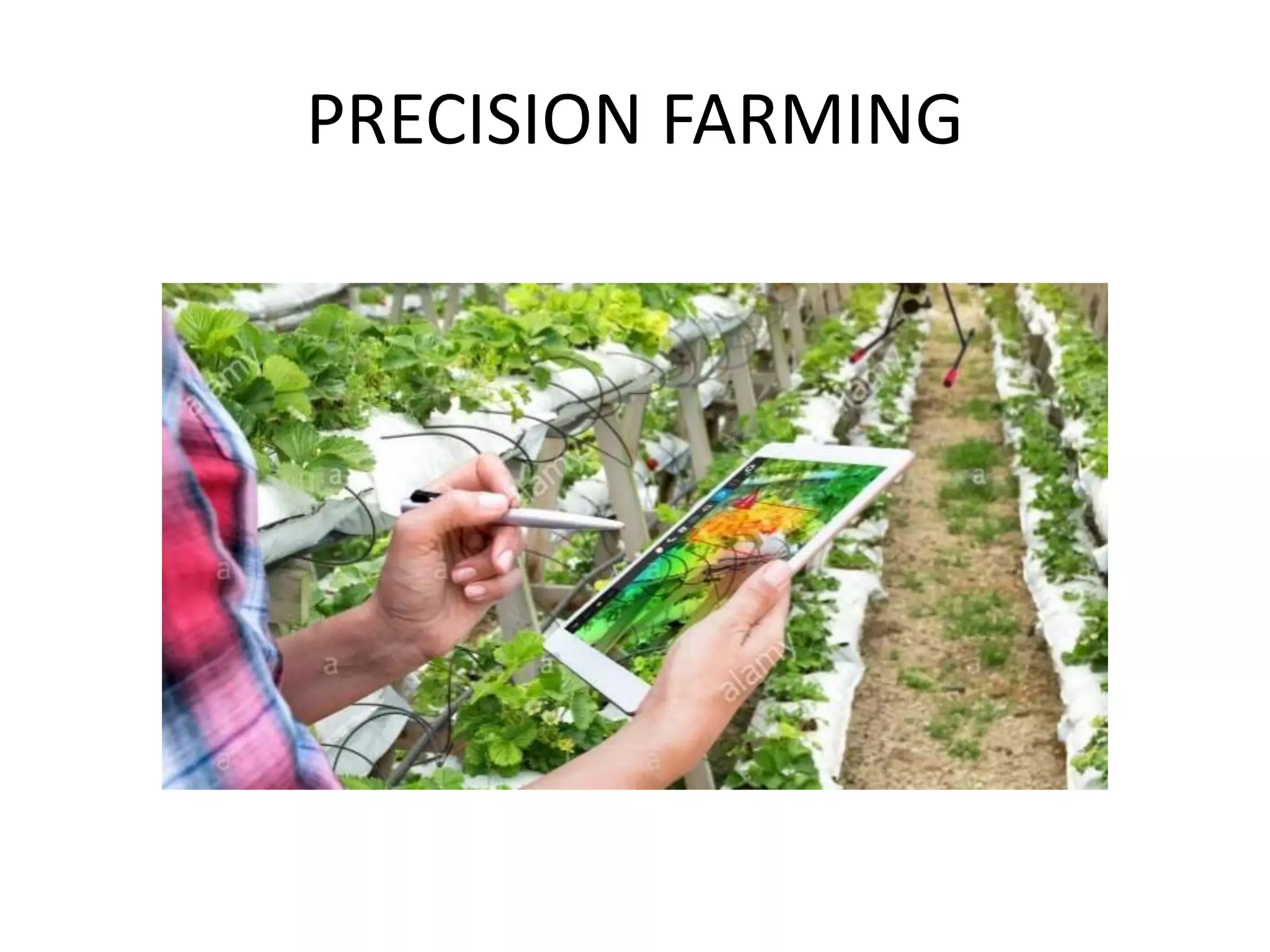 Polyhouse farming ,precition farming | PPTX