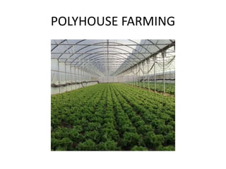 Polyhouse farming ,precition farming | PPT