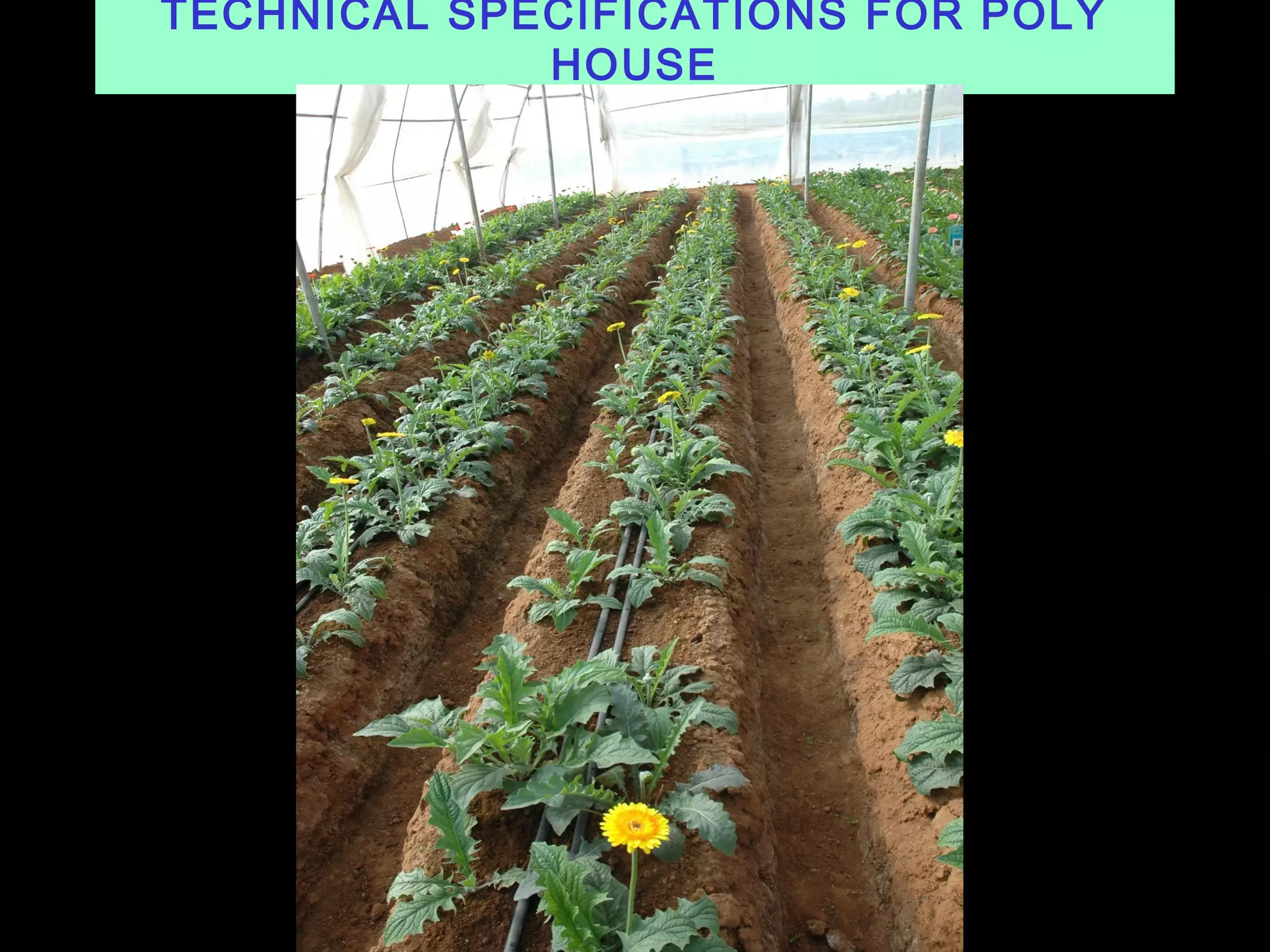 Polyhouses | PPT