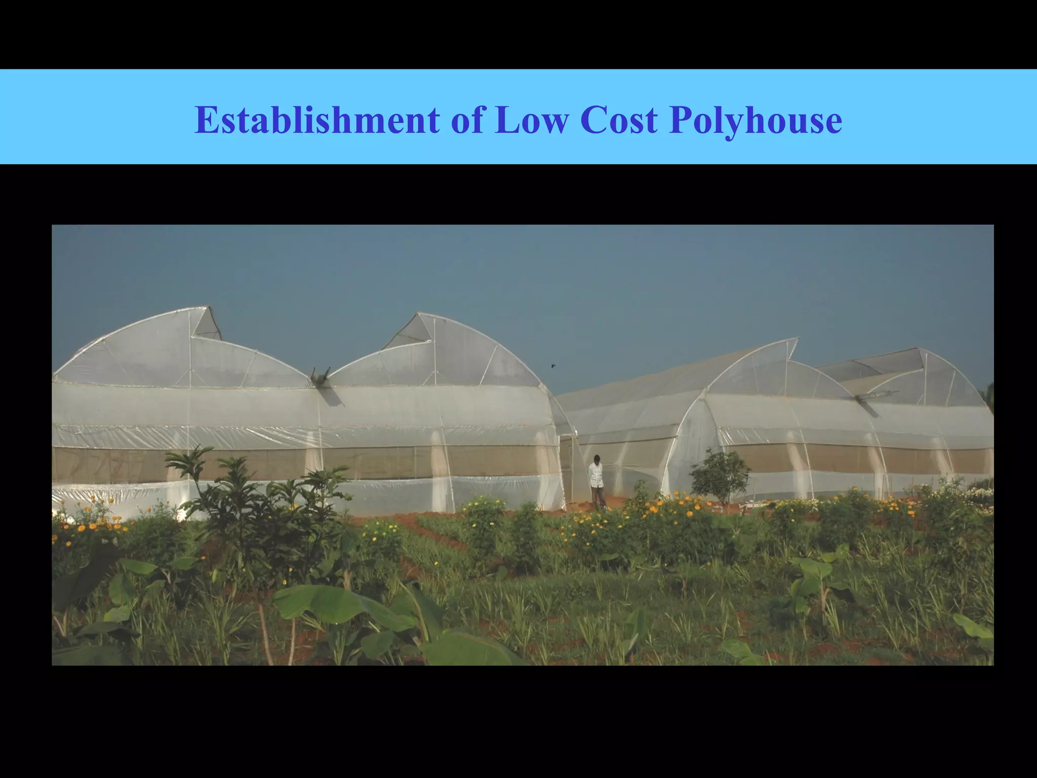 Polyhouses | PPT