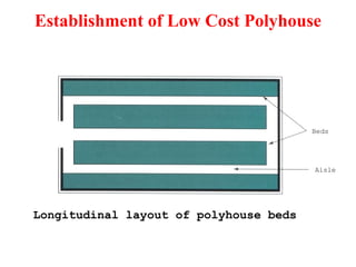 Polyhouses | PPT