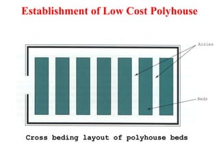 Polyhouses | PPT