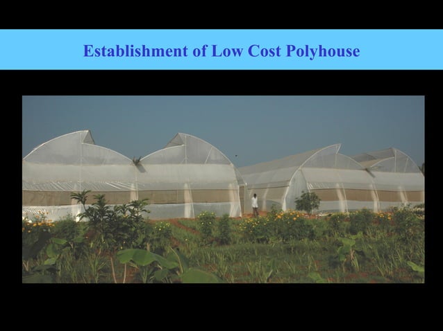 Polyhouses | PPT