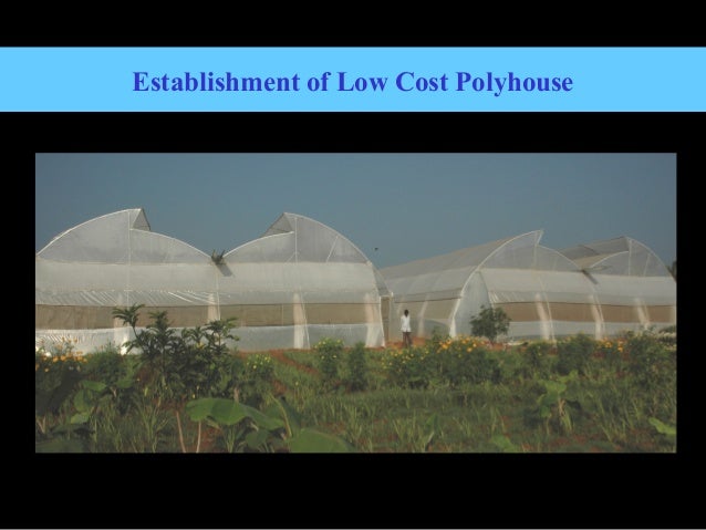 Polyhouses