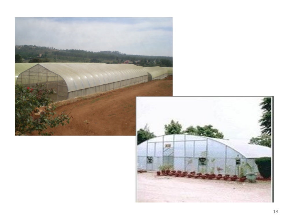 Polyhouse technology