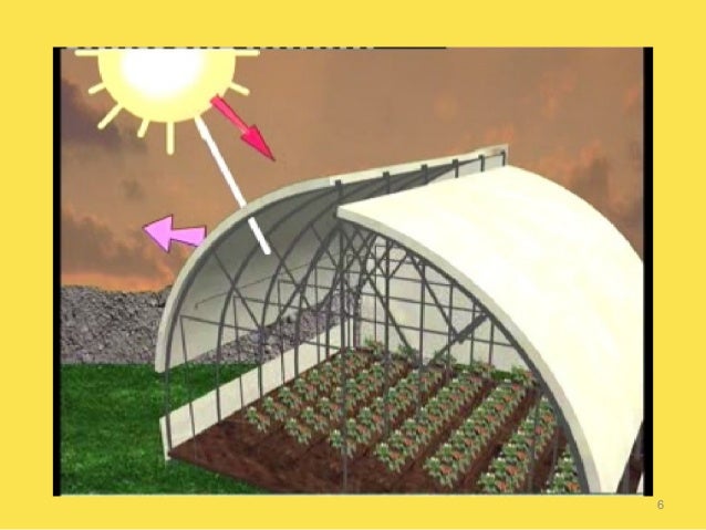 Polyhouse technology