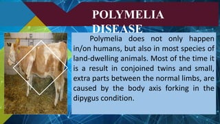 POLYMELIA DISEASE one of the health problem | PPT
