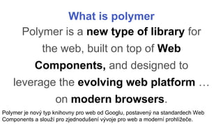 Polymer project presentation | PDF