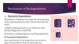 Polymer detail explanation biotechnology topic.pdf