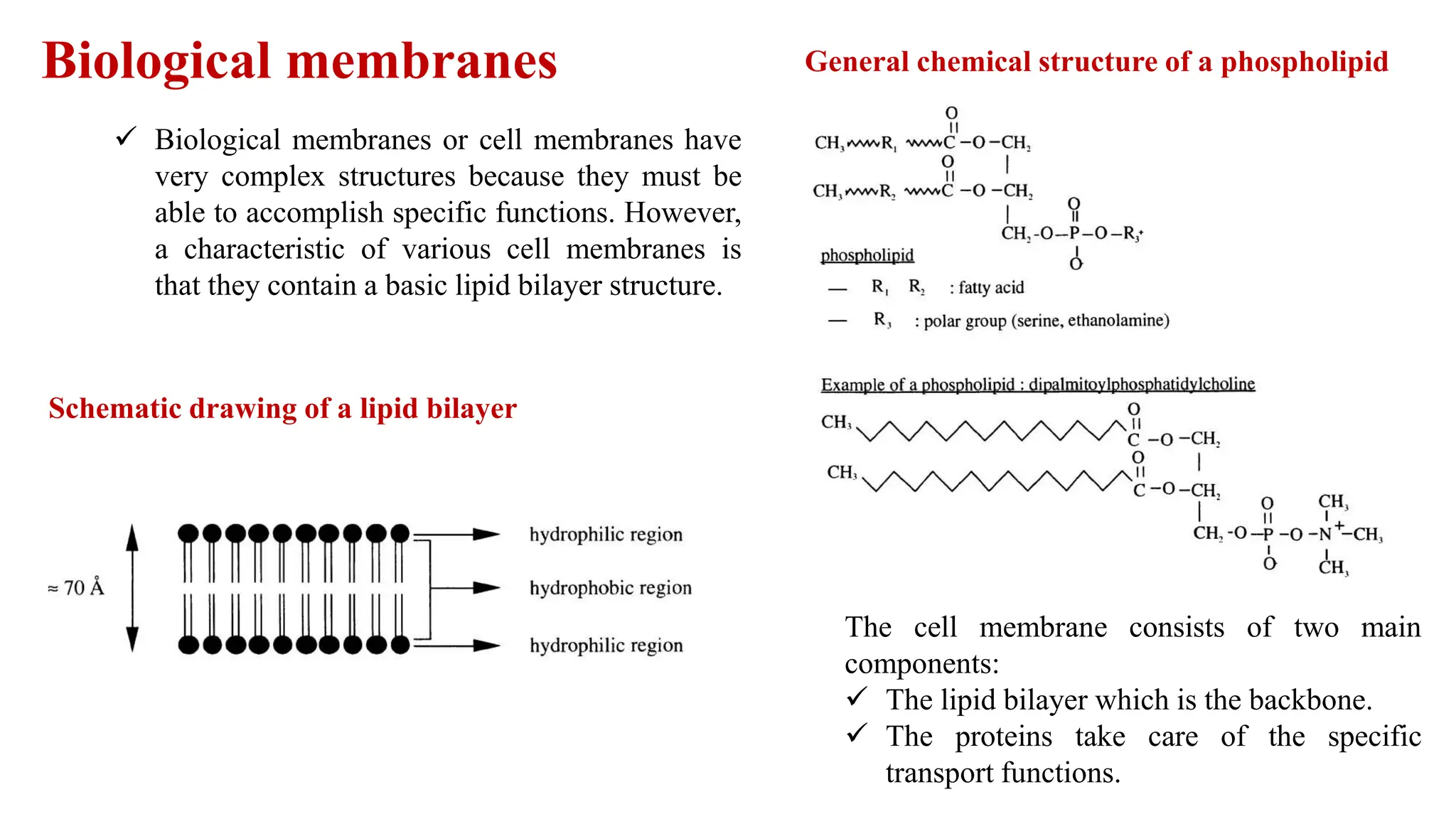 Basic principle of polymer materials and properties | PPT