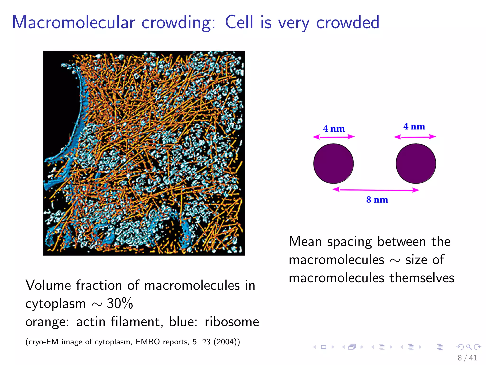 Polymer looping: Effects of macromolecular crowding and external ...