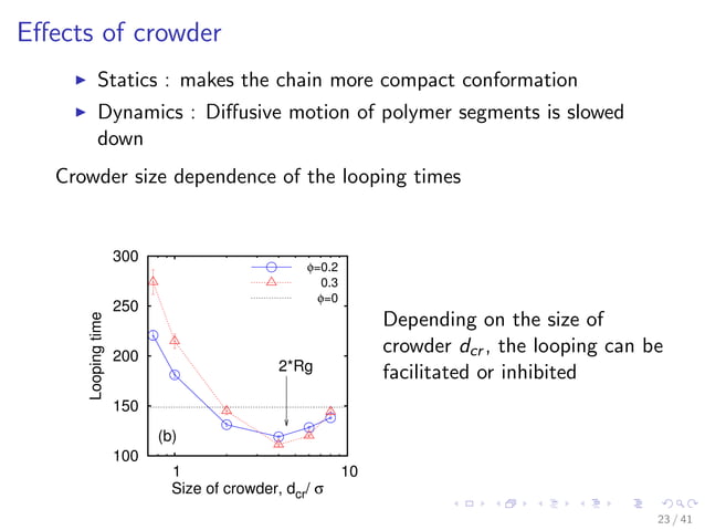 Polymer looping: Effects of macromolecular crowding and external ...
