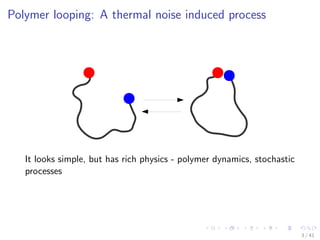 Polymer looping: Effects of macromolecular crowding and external ...
