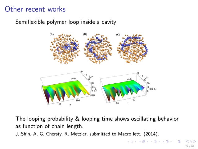 Polymer Looping Effects Of Macromolecular Crowding And External Tension Ppt