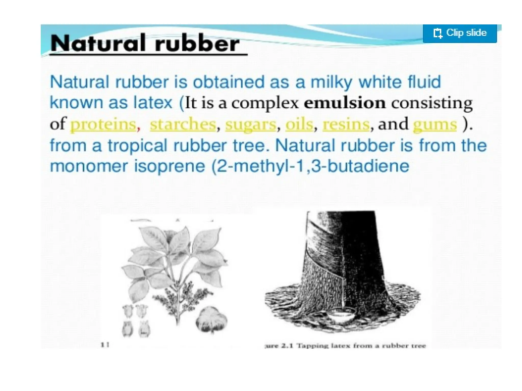 Polymer-rubber,Natural Rubbers,Types, Synthetic rubber .pptx