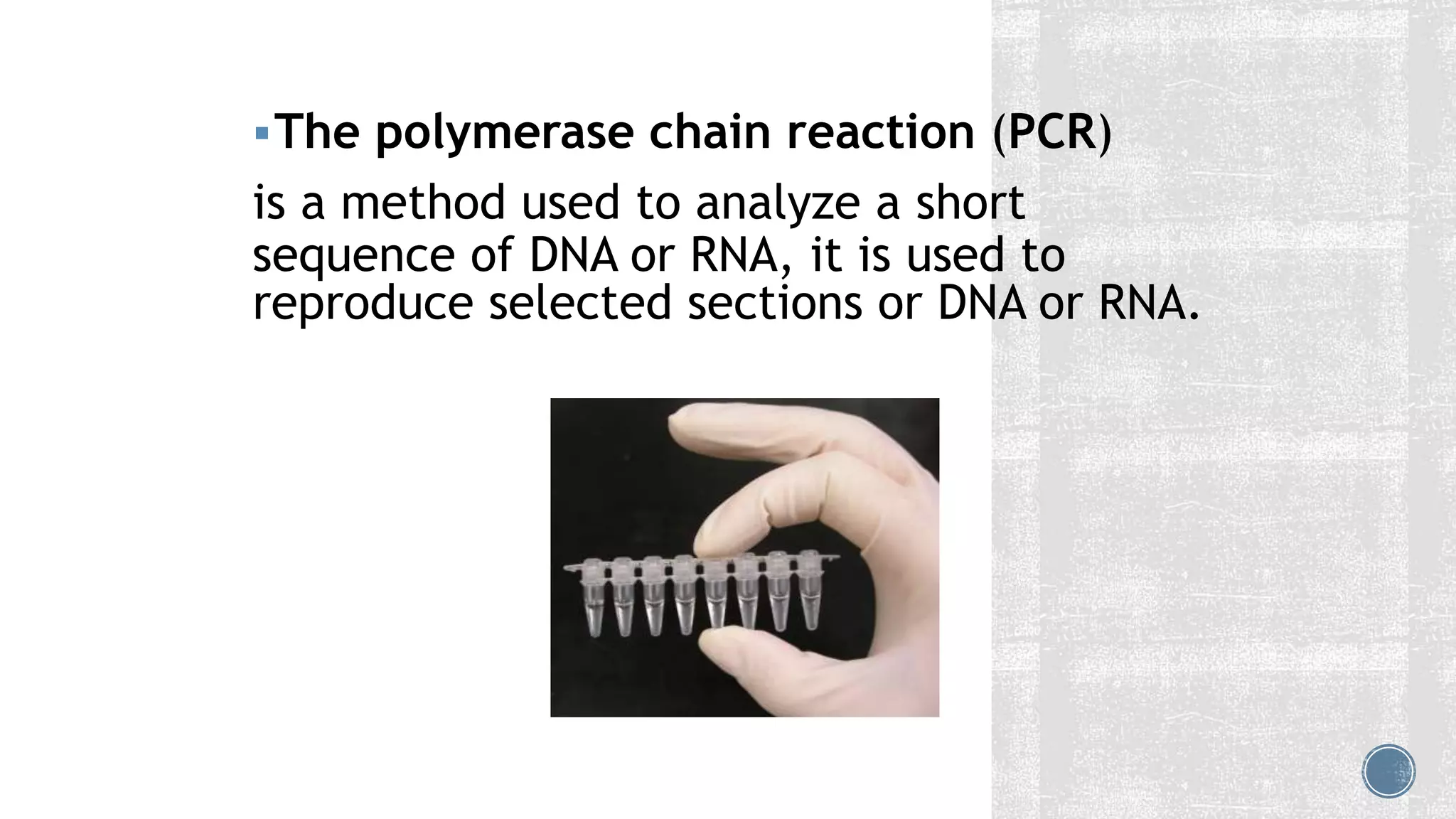Polymerase chain-reaction-pcr | PPT