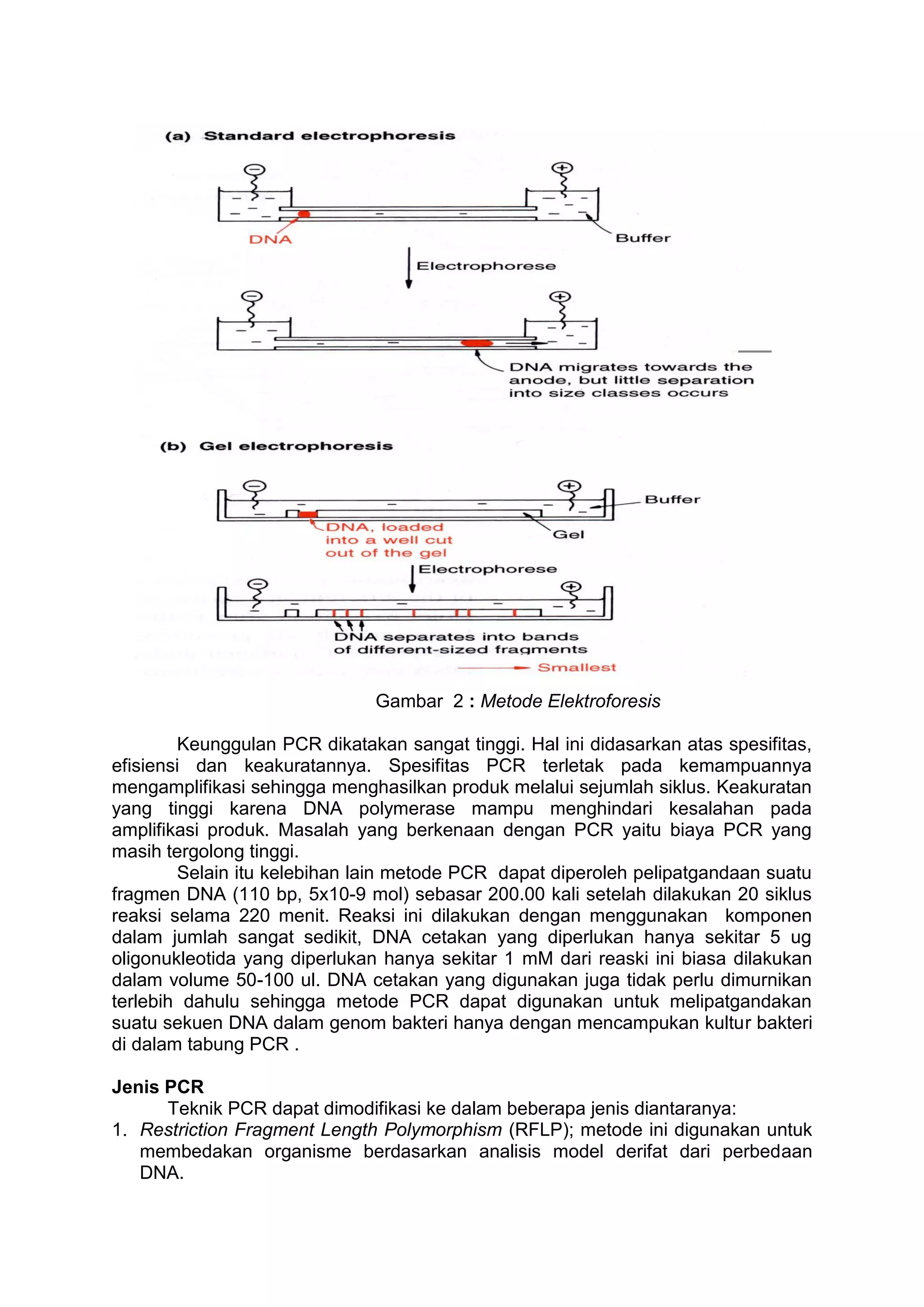 Polymerase chain-reaction-pcr | PDF