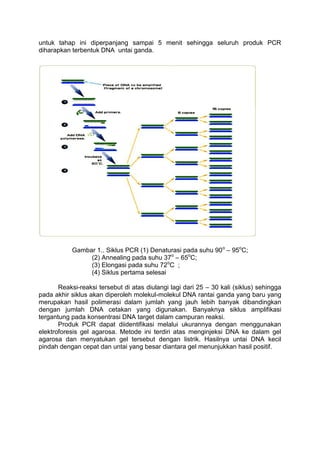Polymerase chain-reaction-pcr | PDF