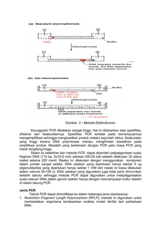 Polymerase chain-reaction-pcr | PDF