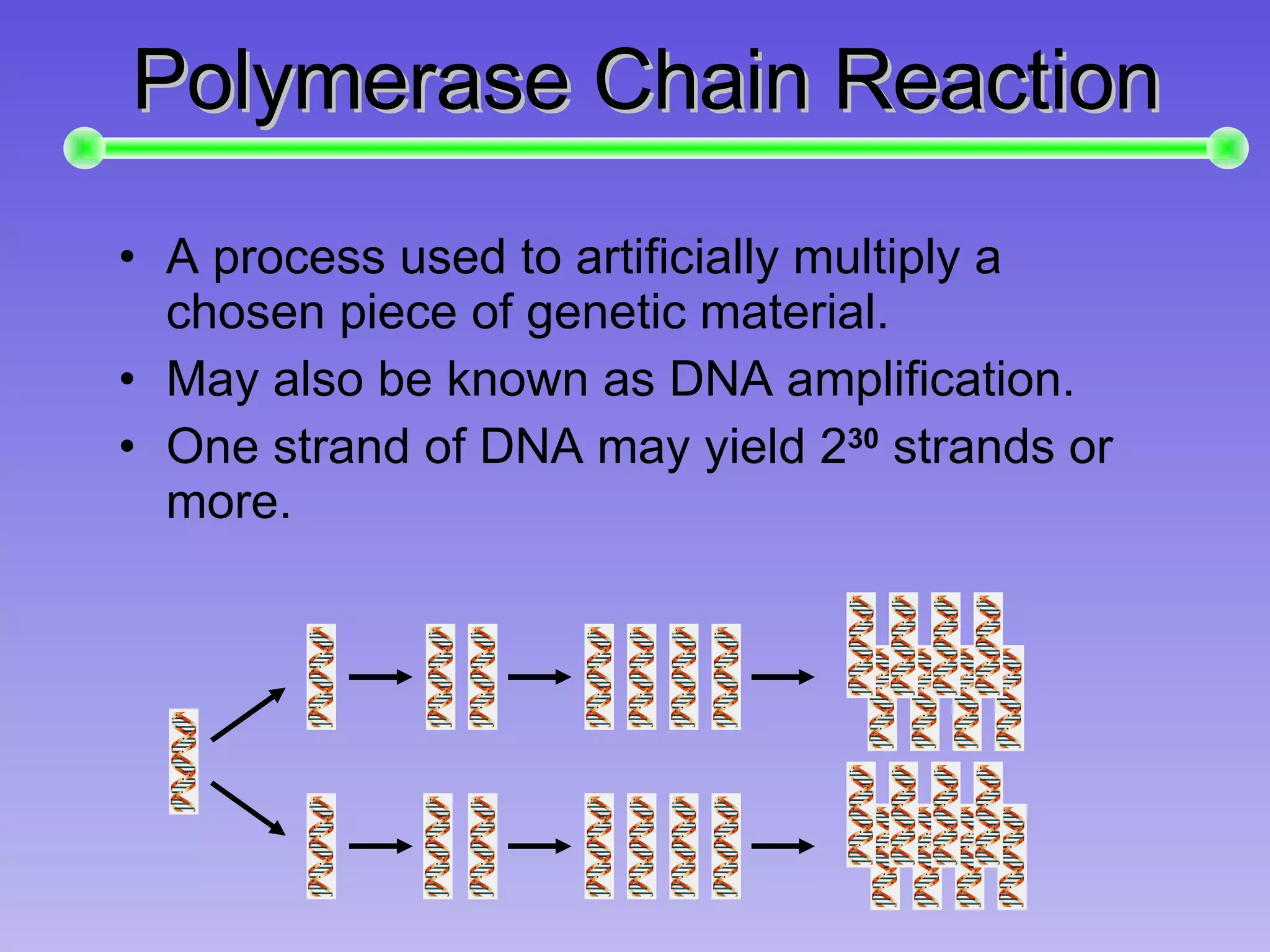 Polymerase Chain Reaction | PPT